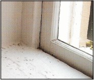 United Spraying Service, Inc. - Termite Inspections, treatment and ...